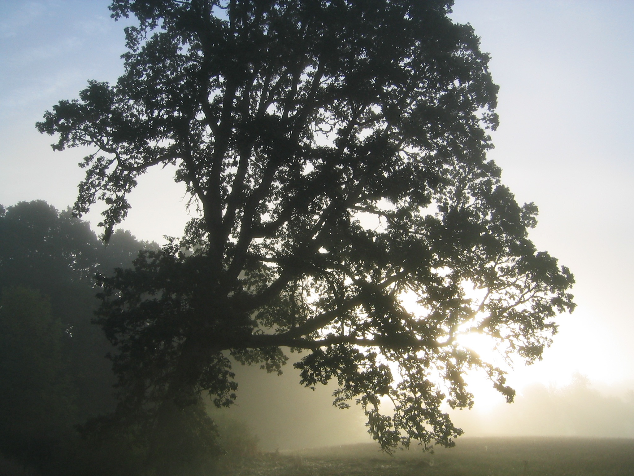 MATTHEW GRAYBEAL | POETRY & PHOTOGRAPHY